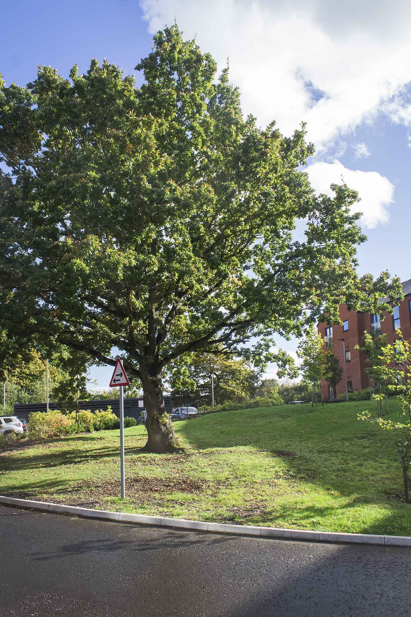 Ashton Vale Bristol | Location Guide | Ocean Estate Agents
