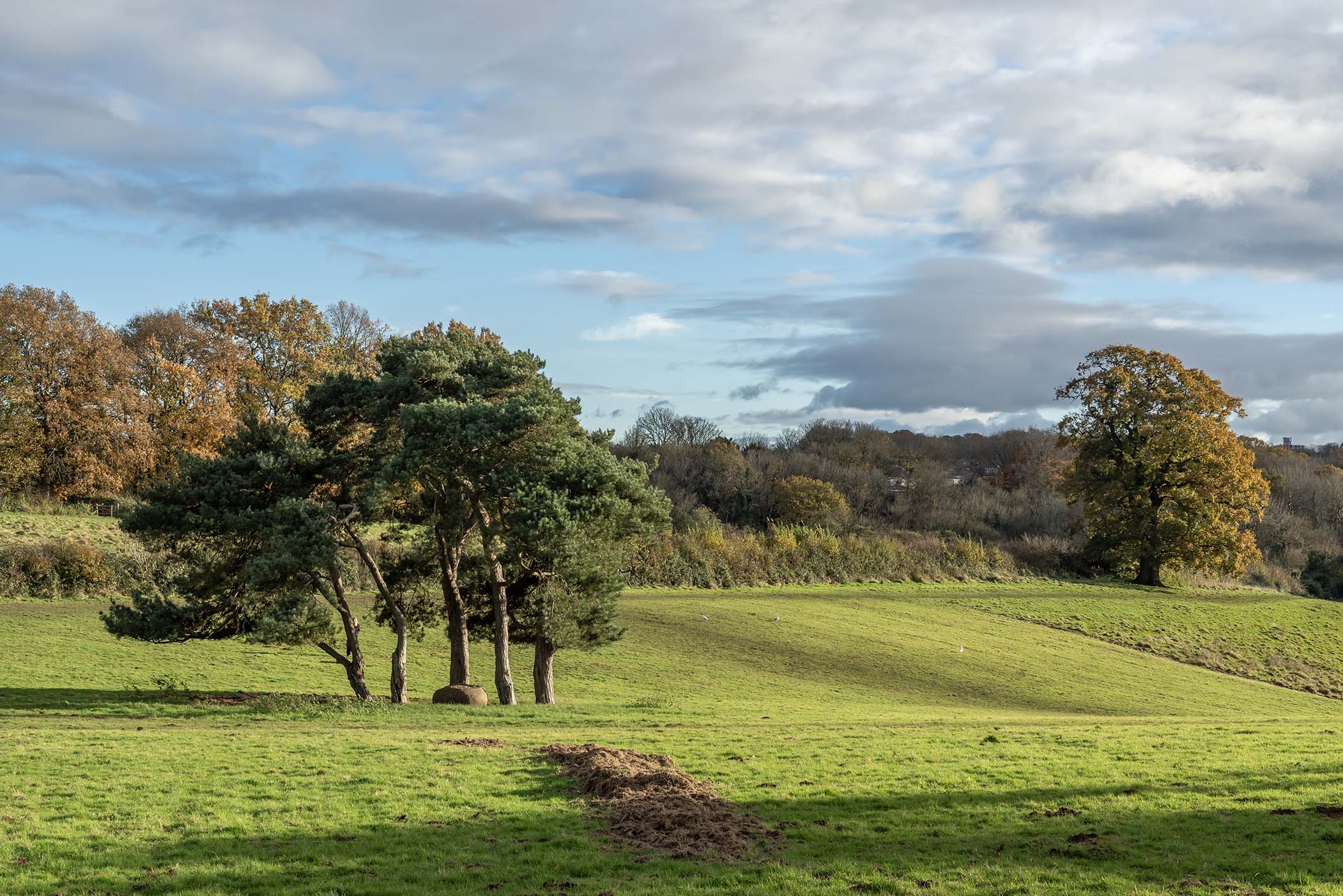 Frenchay Bristol | Location Guide | Ocean Estate Agents