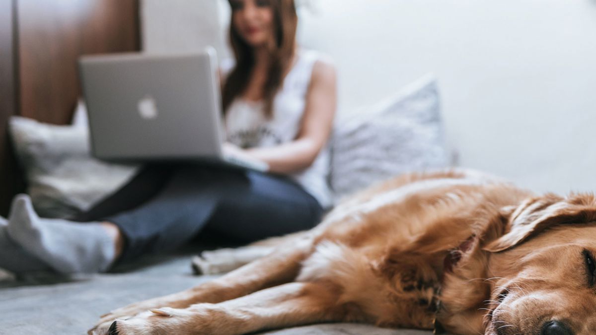 Houses, flats and apartments for sale | Shirehampton | Ocean Estate Agents