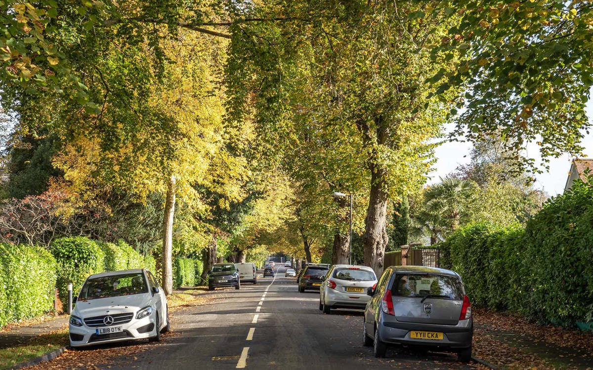 Sneyd Park Bristol | Location Guide | Ocean Estate Agents